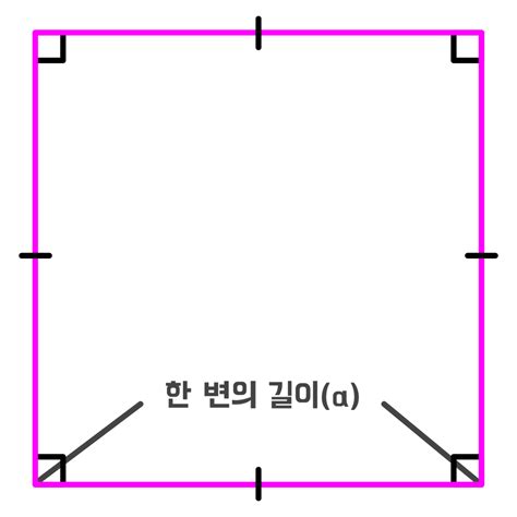 정사각형 직사각형 넓이 공식 예제 10선 풀이 네이버 블로그