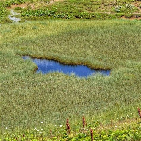 გვერდი ყველა თაობა მხ ფ ხარება და გოგია 1987 წელი დამდგმელი რეჟ გიორგი შენგელაია როლებში