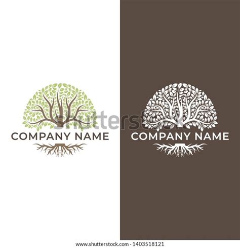 Vector Tree Round Logo Template Root Stock Vector Royalty Free Shutterstock