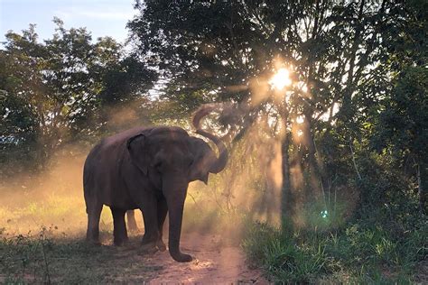 Alicia Iturri Insearch Pk