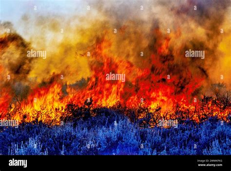 Flames Leap High As A Wildfire Caused By Lightning Spreads Into The Night Along A Ridge Line