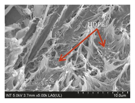 SEM Micrographs Of The PBT HDPE Blend With Different Weight Percents Of Download Scientific