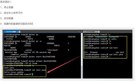 容器数据卷详解 Csdn博客