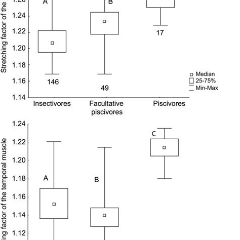 Stretch Factors Of The Masticatory Muscles Within Genus Myotis A