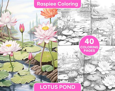 Lily Coloring Pages Printable 2025