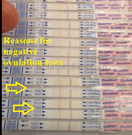 How Does The Ovulation Test Work All About The Positive Test OvulationDiary Com