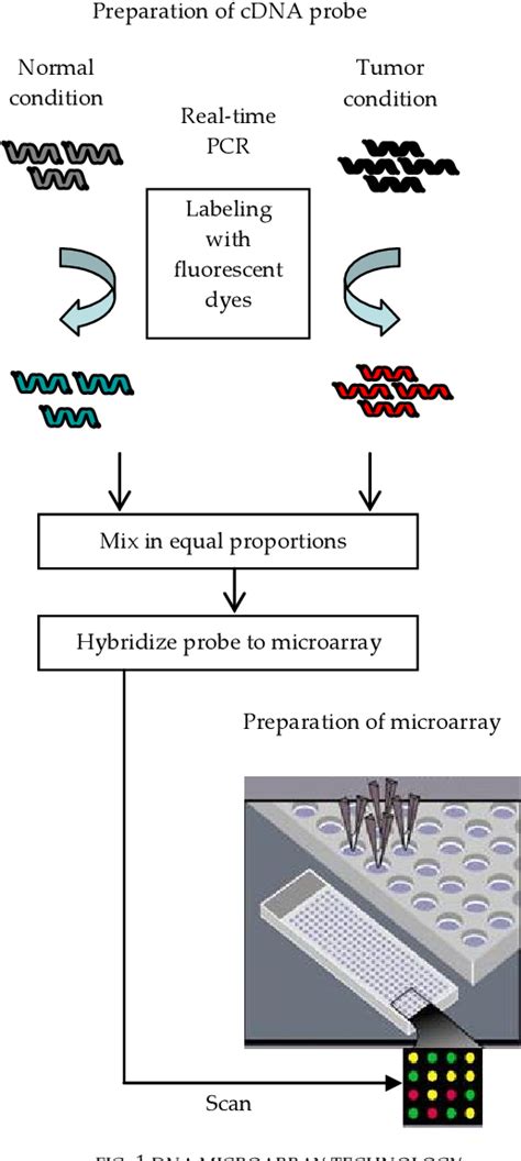Figure From DNA Microarray Data Classification Via Haralick S Parameters Semantic Scholar