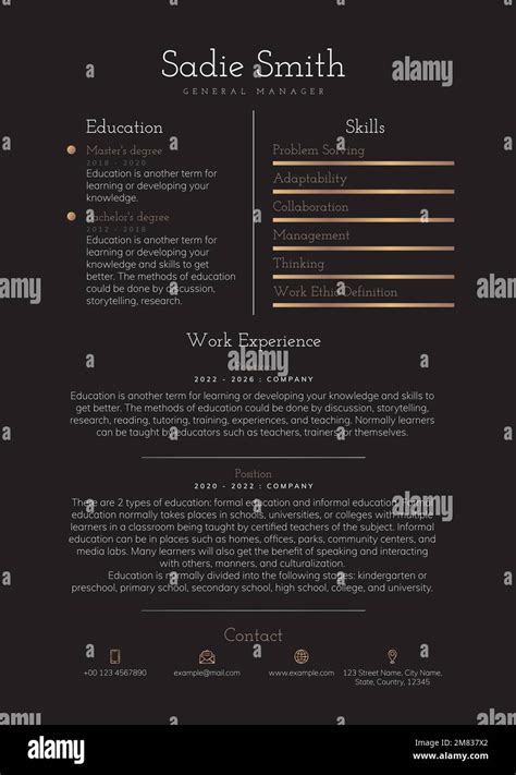 Professional Cv Editable Template Vector For Professionals And