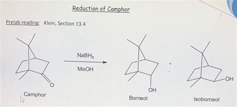 Solved Reduction of Camphor Prelab reading: Klein, Section | Chegg.com