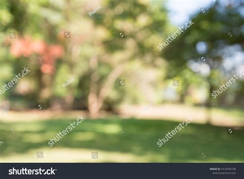 25 950 488 Trees In Background Images Stock Photos Vectors Shutterstock