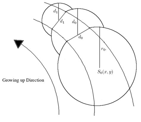 region growing algorithm download scientific diagram