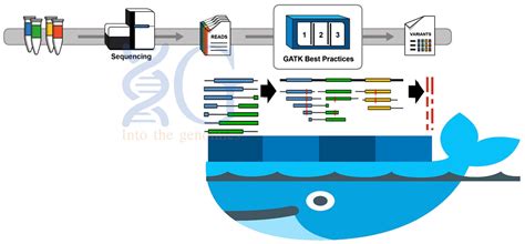 Cnvs Copy Number Variants— Context Detection Methods And Exploratory Data Analysis With