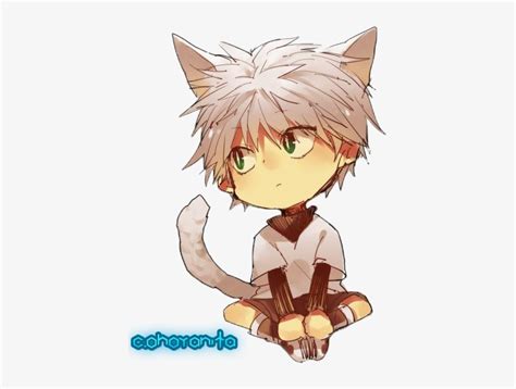 Hunter X Hunter Gon And Killua Chibi Cool Wallpaper