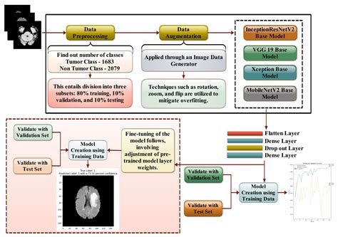 Brain Tumor Detection And Prediction In Mri Images Utilizing A Fine Tuned Transfer Learning