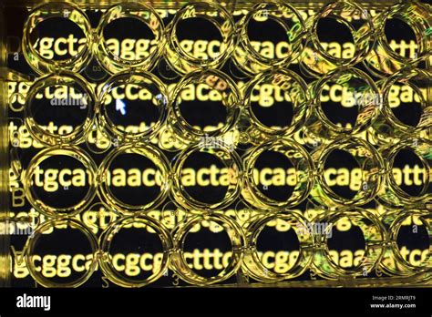 Abstract Background Scientific Biological Research Cultural Tablet Against The Background Of