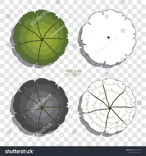 Tree Plan Collection Shadow Transparent Background Stock Vector Royalty Free 666193234