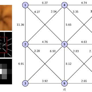 An Example Of Centrality Measure Calculation For An Image A A Download Scientific Diagram