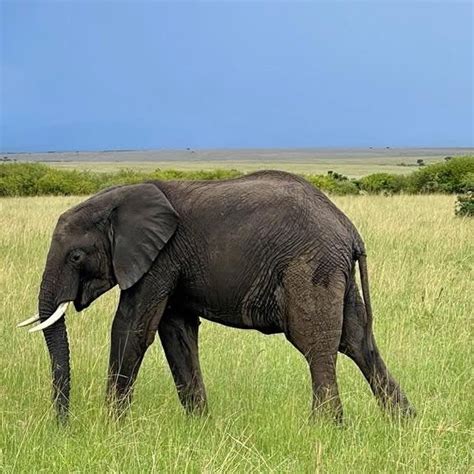 Saurav Saurav4fun On Threads