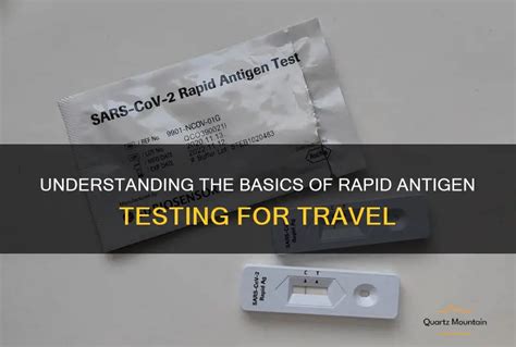 Understanding The Basics Of Rapid Antigen Testing For Travel