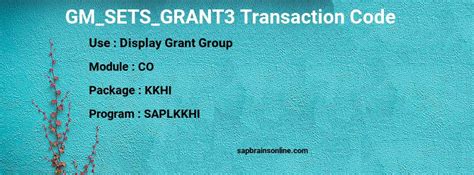 GM SETS GRANT SAP Tcode For Display Grant Group