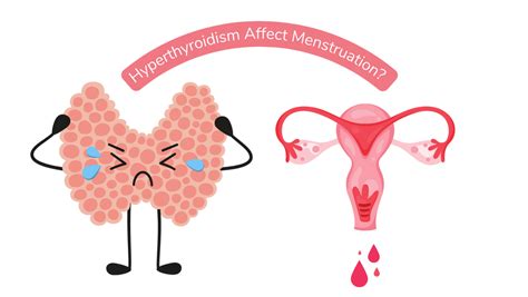 How Thyroid Function Affects Menstruation
