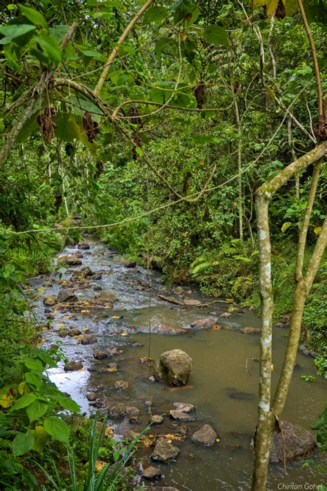 Kimakia Forest Hike Matembezi Travellers Club