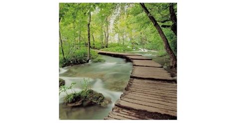 Rex Bardwell Obituary 2018 Hammond La Harry Mckneely And Son Funeral Homes And Crematory