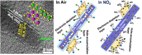 Controllable Epitaxial Like Growth Of Bi2s3 Mos2 Hybrid Aerogel Nanostructures For Sensitive No2