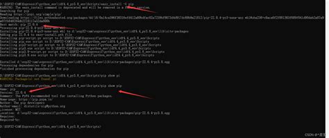 Esp32 Cam Vscodeesp Idf环境搭建 Python Pip版本问题espidf Python M Pip Csdn博客