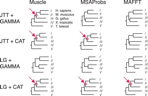example of ancestral node robustness analysis in this small example