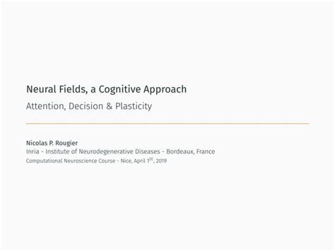 Neural Fields A Cognitive Approach Ppt