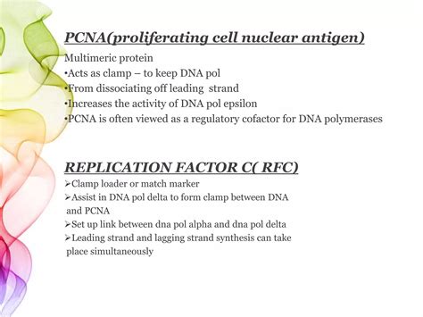 Replication Fork Final Pptx