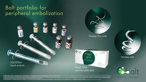 Balt Elec Ir European Liquid Embolic Course