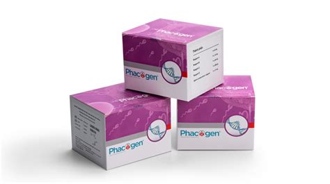 Sperm Dna Fragmentation Test Solution To Male Infertility