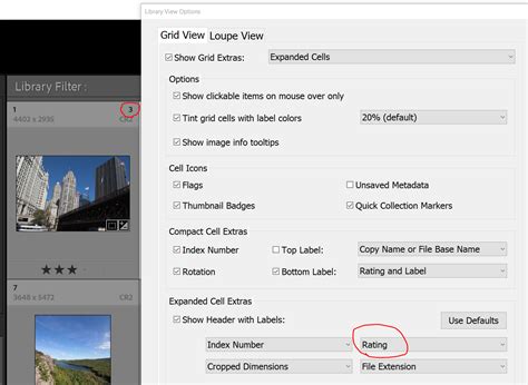 P 102 Metadata Not Displaying On Thumbs Adobe Product Community 12419582