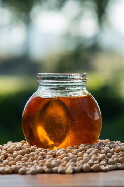 Soyl Produits De Soja Biologique Tourteaux De Soja Huile De Soja Stockage De Haricots De Soja