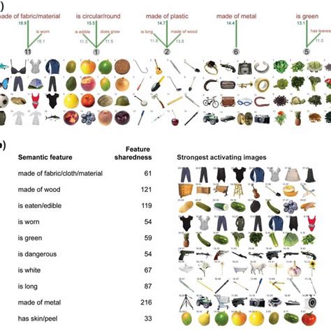 A Relationship Between High Level Visual Information And Semantic Download Scientific Diagram