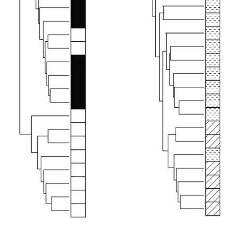 Unsupervised Hierarchical Clustering Analysis Of Significantly