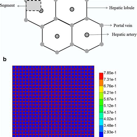 Percolation Network Effects On A Steady State Flow B Produced