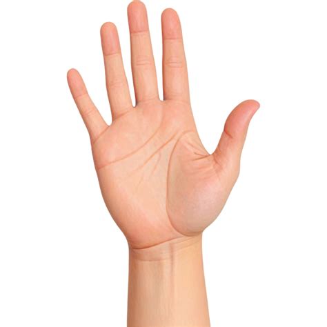 Open Palm Hand Flat Icon 46566116 Png
