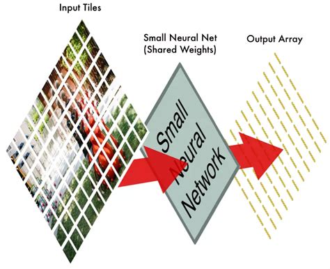 Machine Learning thật thú vị Tìm kiếm ảnh chứa chim với CNN