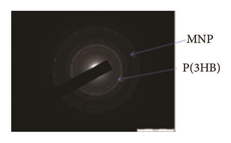 Electron Diffraction Patterns Of A P3hbmnp And B P3hbff
