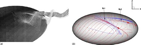 three dimensional boundary layer separation and separated flow from a
