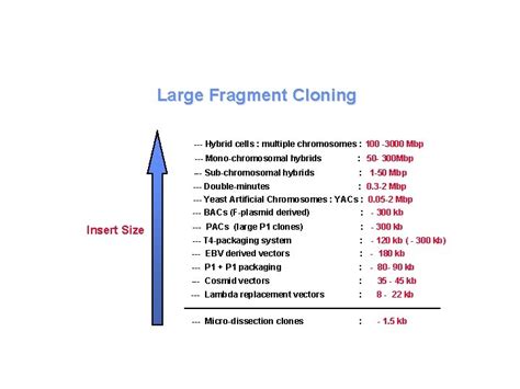 Mapping The Human Genome Genetic Mapping Physical Mapping