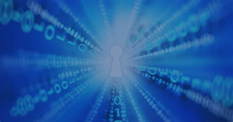 Top 10 Vulnerability Management Tools Reflectiz