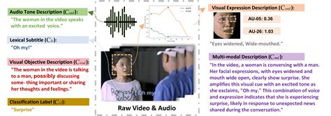 emotion llama multimodal emotion recognition and reasoning with