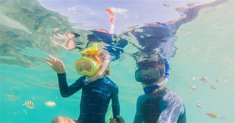 아버지와 아들이 함께 스노클링을 하는 수중 초상화 사진 Unsplash의 바다 이미지