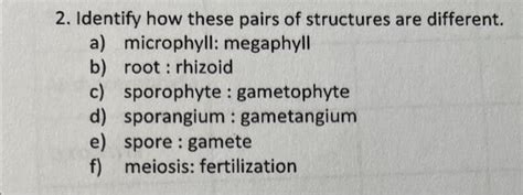 Solved 2 Identify How These Pairs Of Structures Are