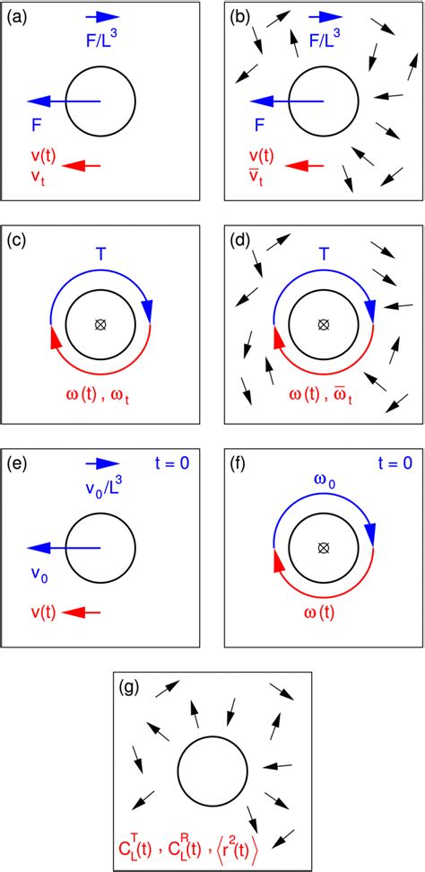 Visualization Of The Various Hydrodynamic Experiments Carried Out In A
