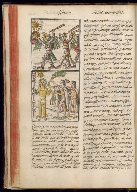 Book 2 Folio 20v Digital Florentine Codex